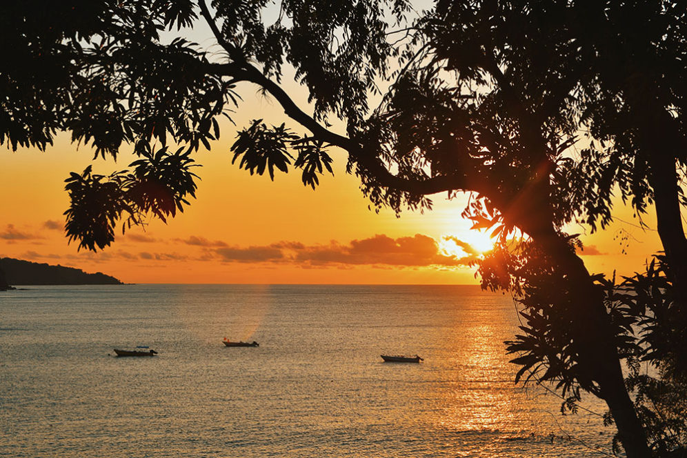 A Week in Castara: The Prettiest Little Village in Tobago - Seattle's ...