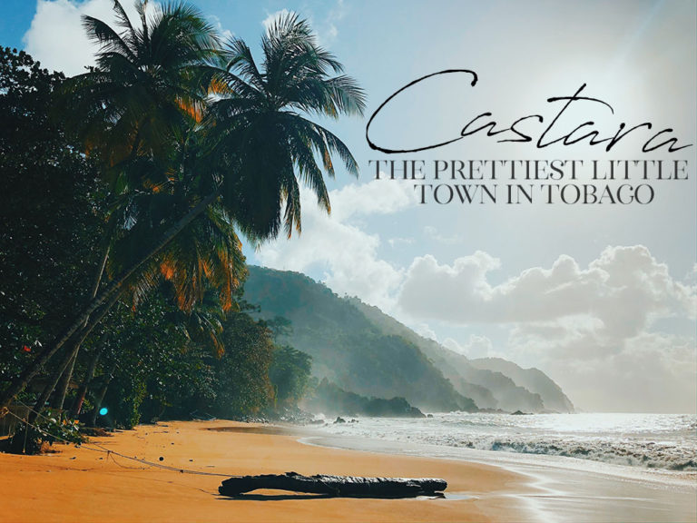 A Week in Castara: The Prettiest Little Village in Tobago - Seattle's ...